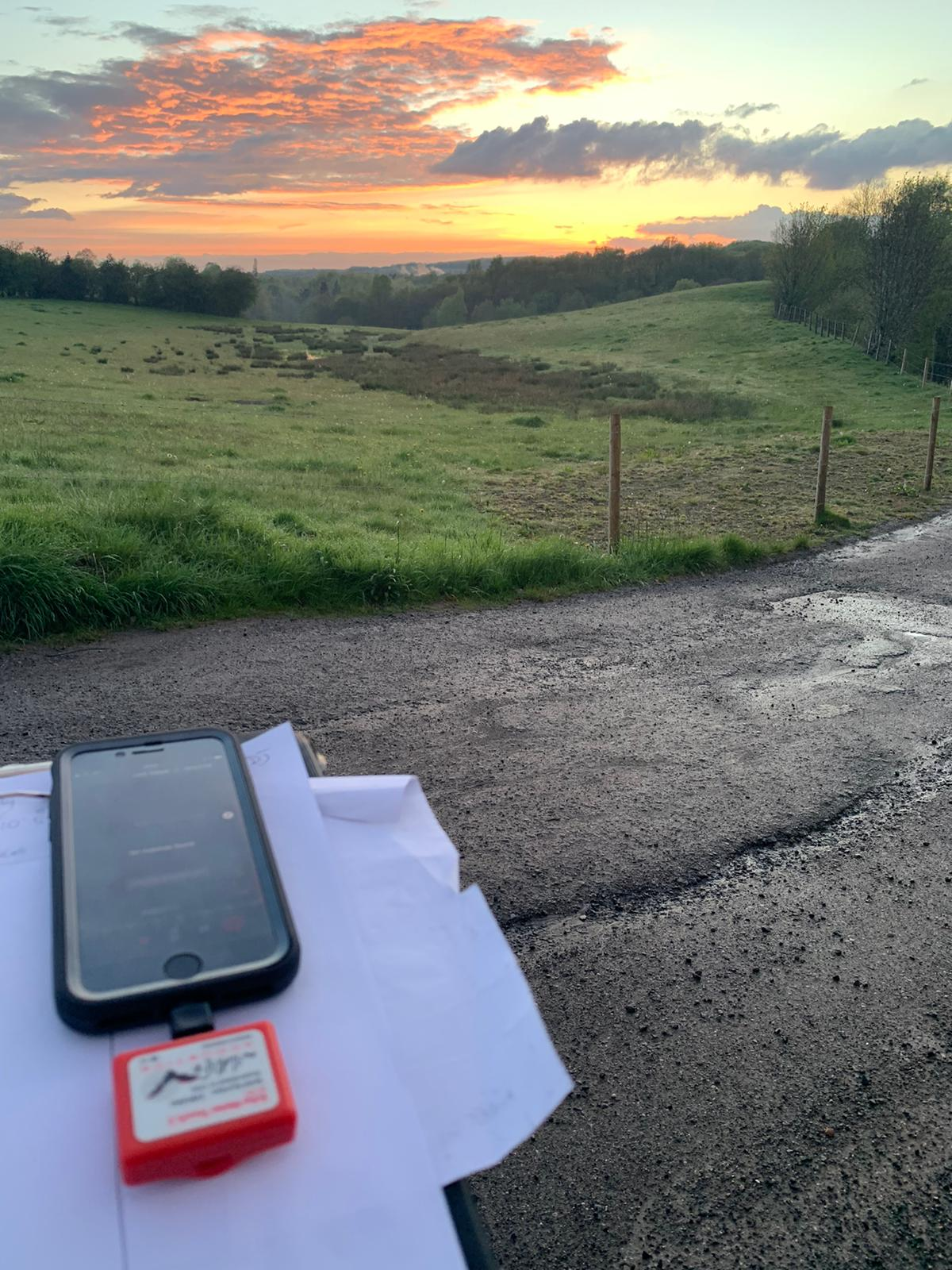 What is a bat survey? - e3p